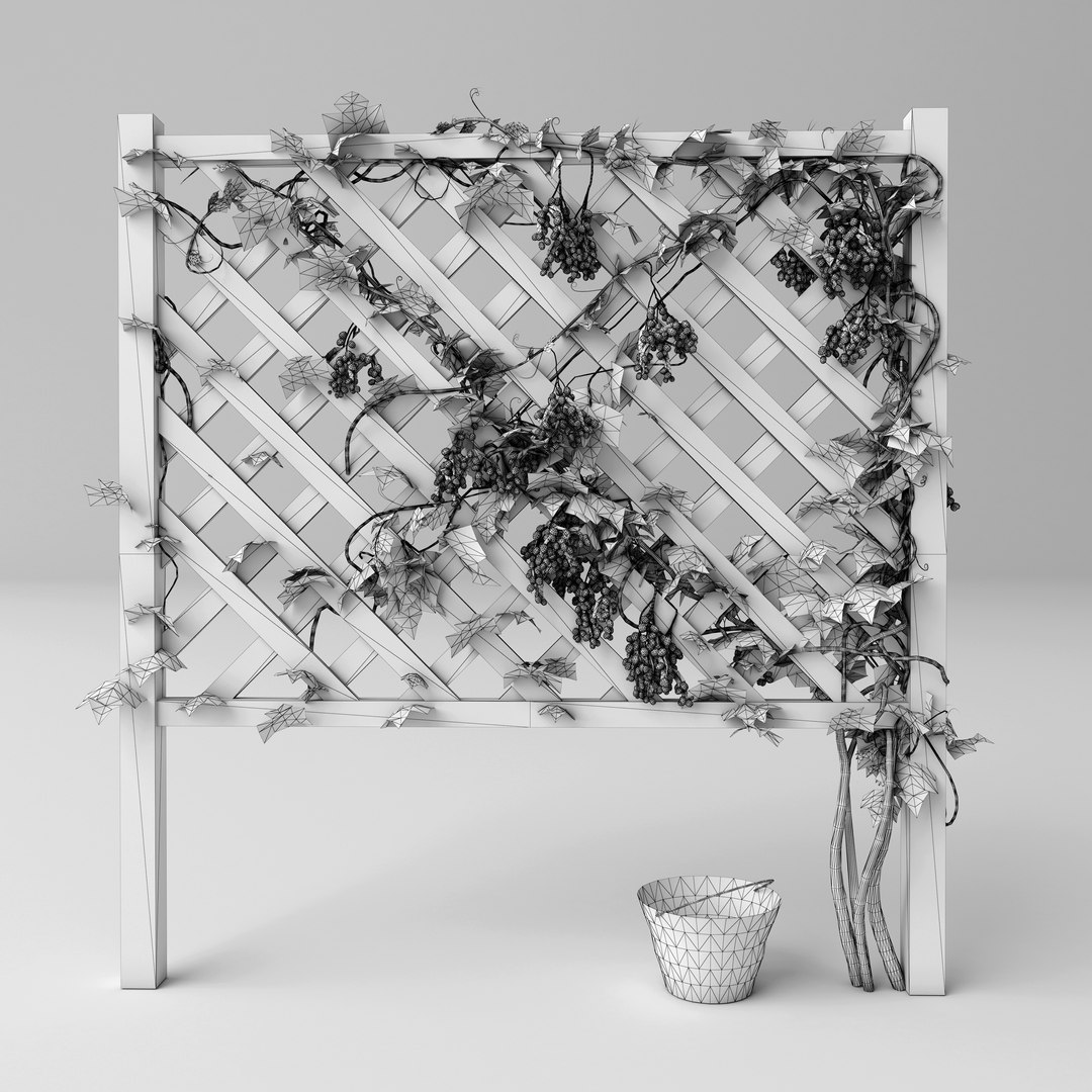 Vine Model - TurboSquid 1356206