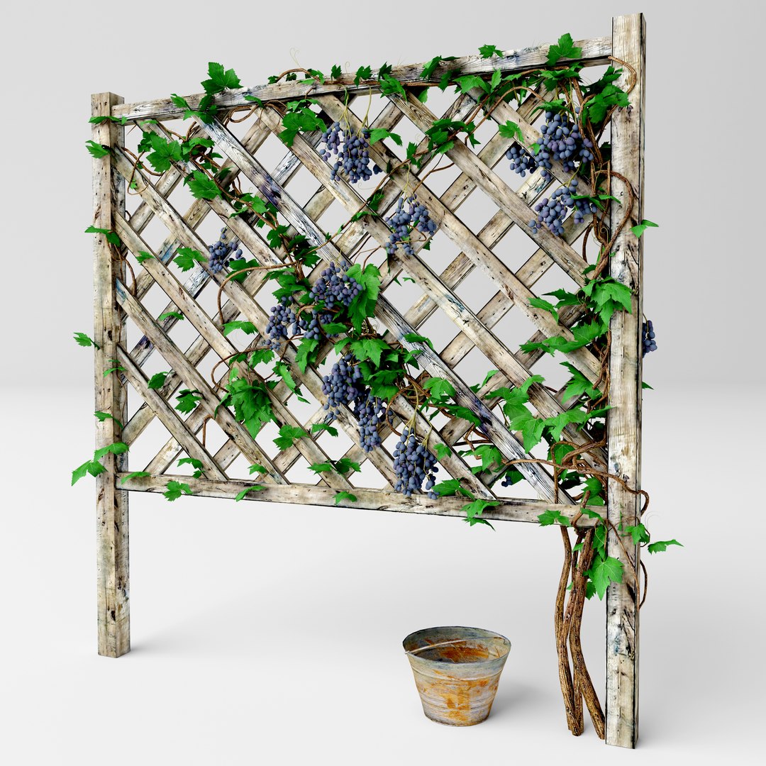 Vine Model - TurboSquid 1356206