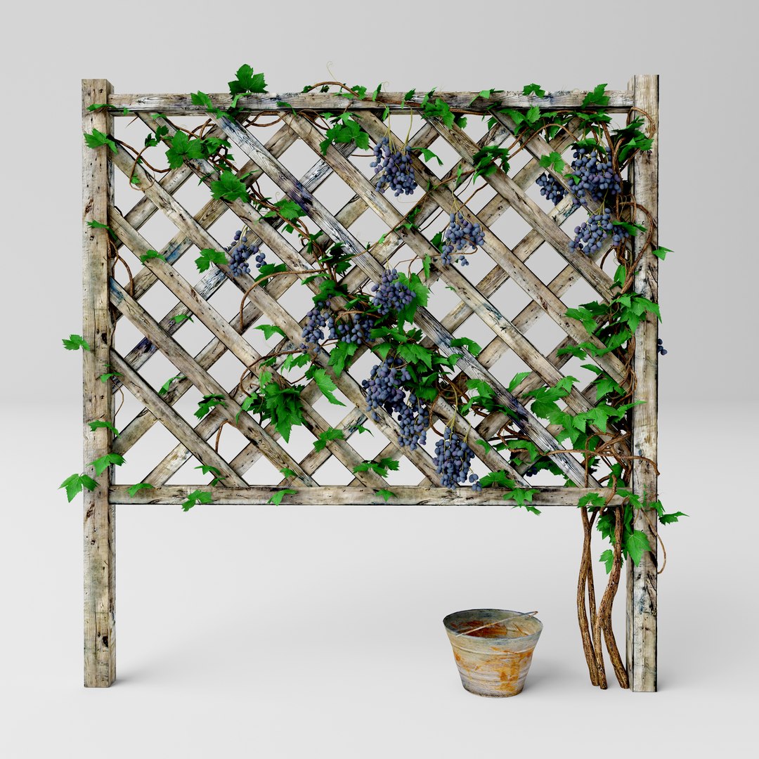 Vine Model - TurboSquid 1356206