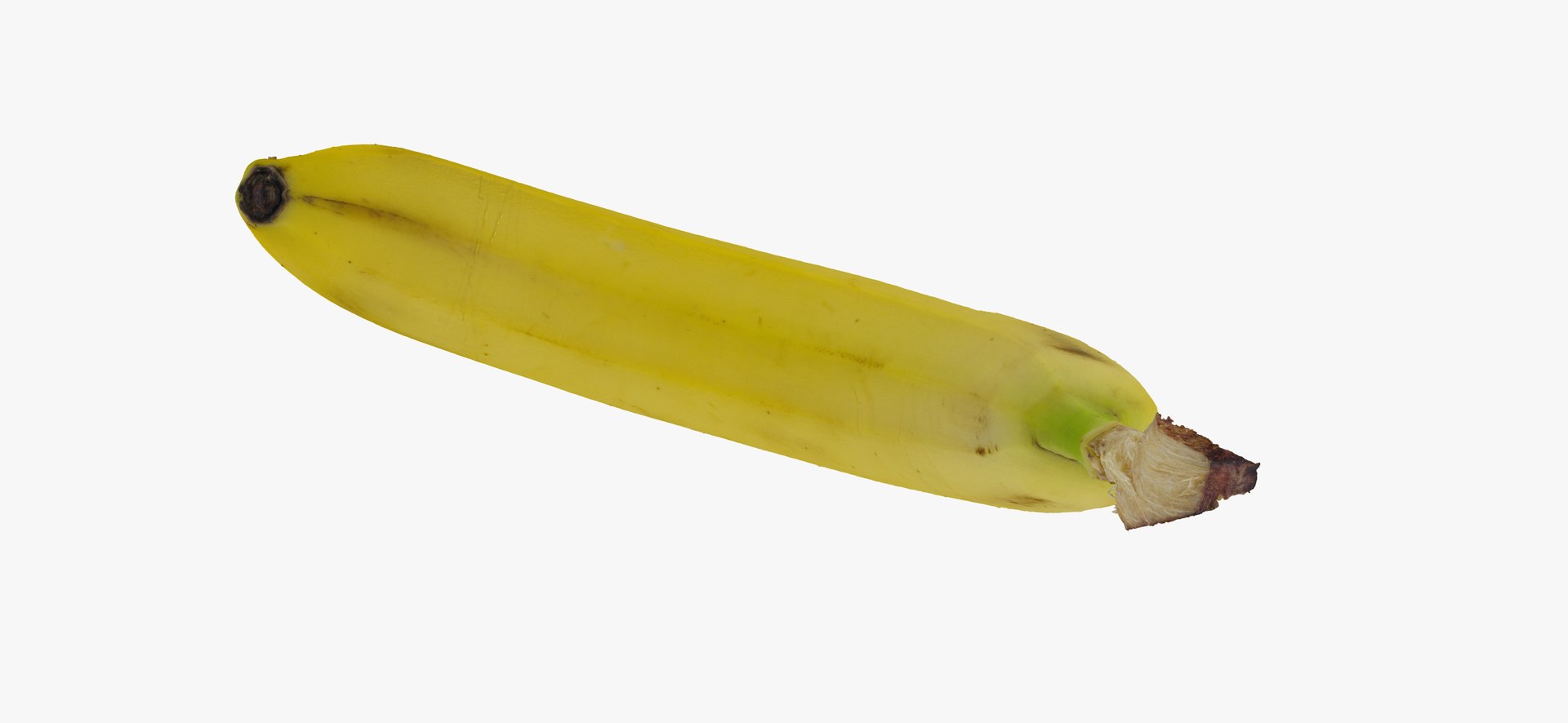 3D Model Banana 04 Raw Scan - TurboSquid 1533448