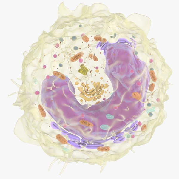 3d c4d tumor vessel