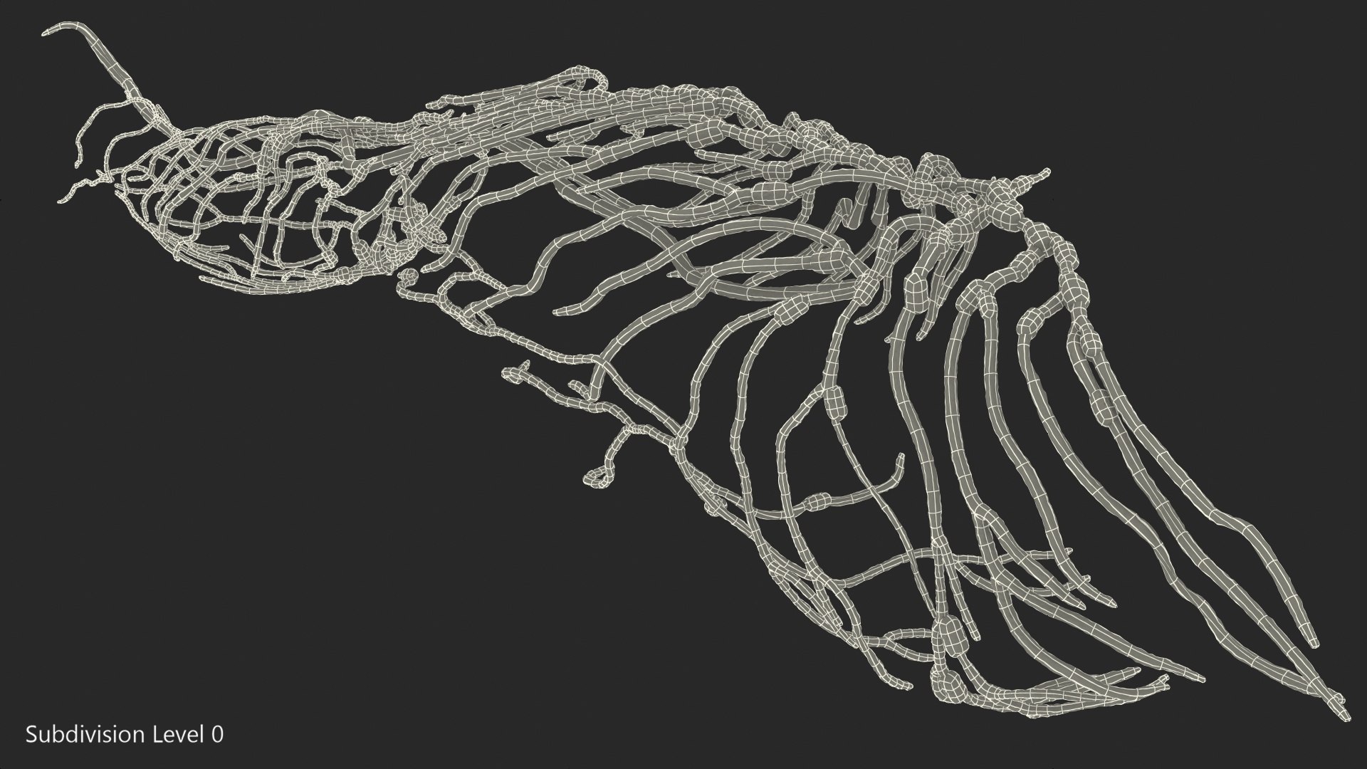 Human Leg Lymphatic 3D Model - TurboSquid 1459122