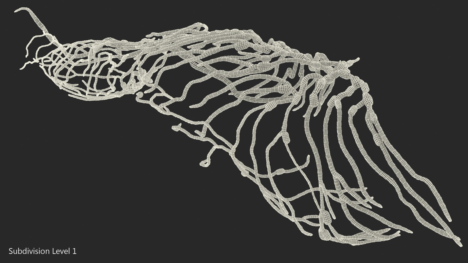 Human Leg Lymphatic 3D Model - TurboSquid 1459122