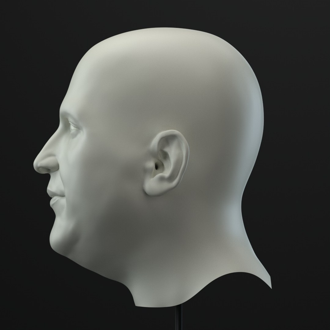 Male Head 3D Model - TurboSquid 1468048