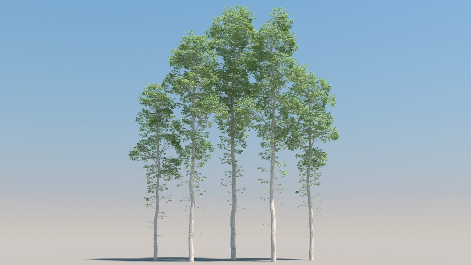 3D Tree Autumn Green Model - TurboSquid 1577804