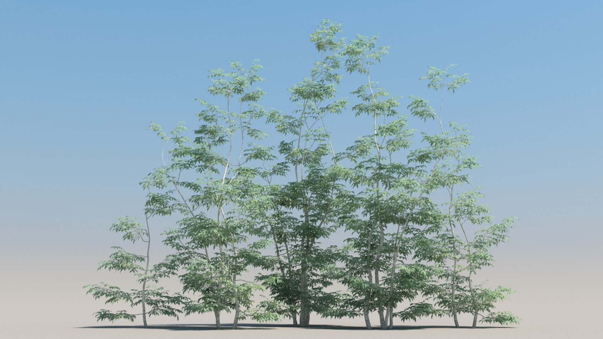 3D Tree Autumn Green Model - TurboSquid 1577804