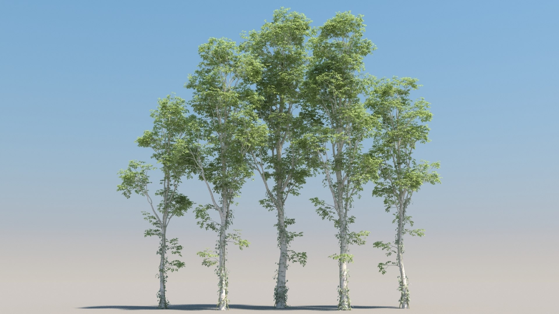 3D Tree Autumn Green Model - TurboSquid 1577804