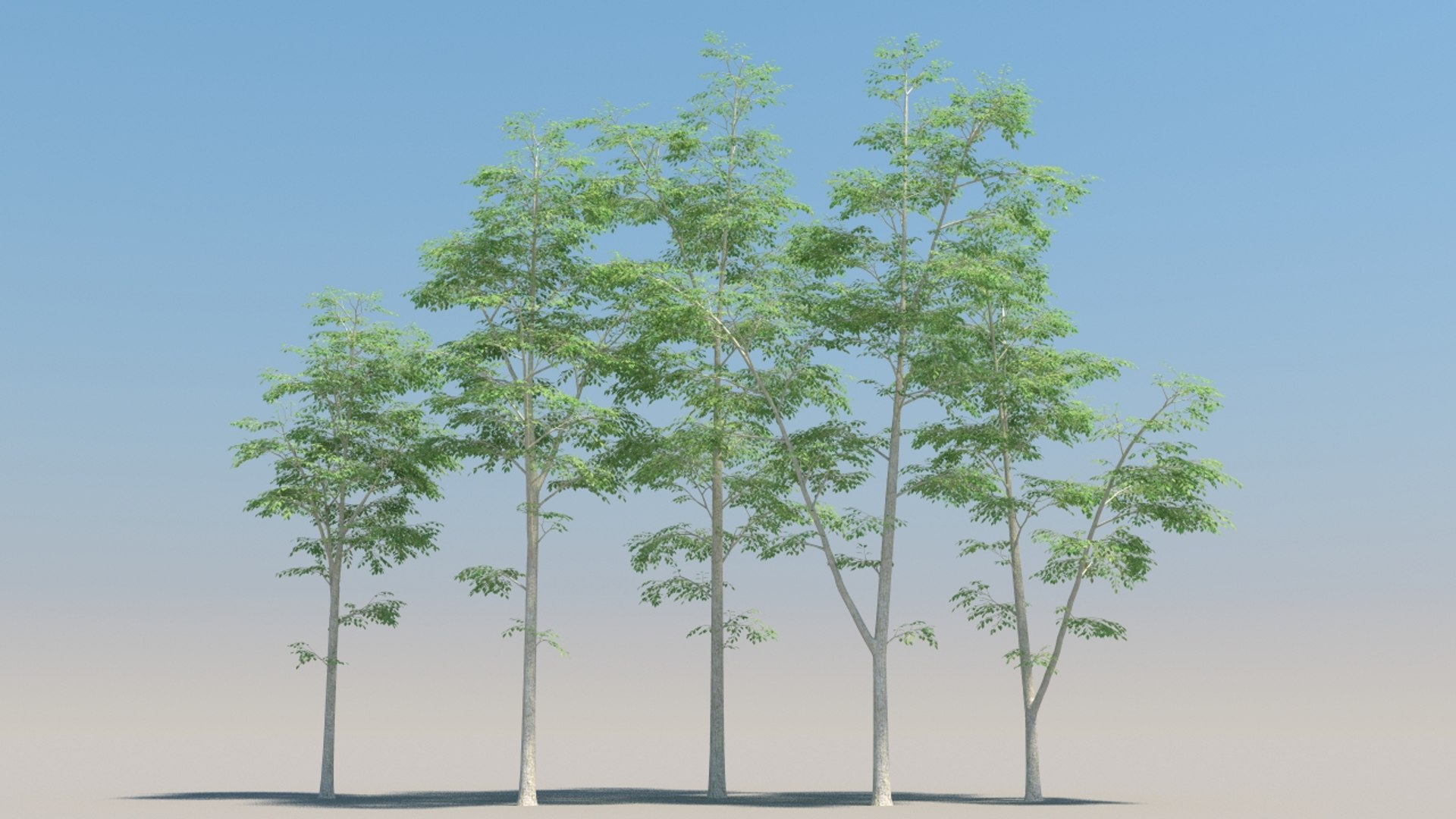 3D Tree Autumn Green Model - TurboSquid 1577804