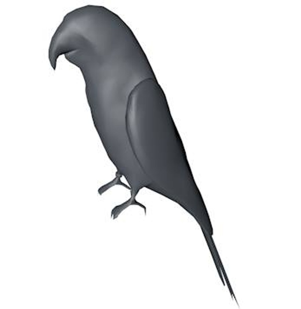 Parrot Base 3d Model