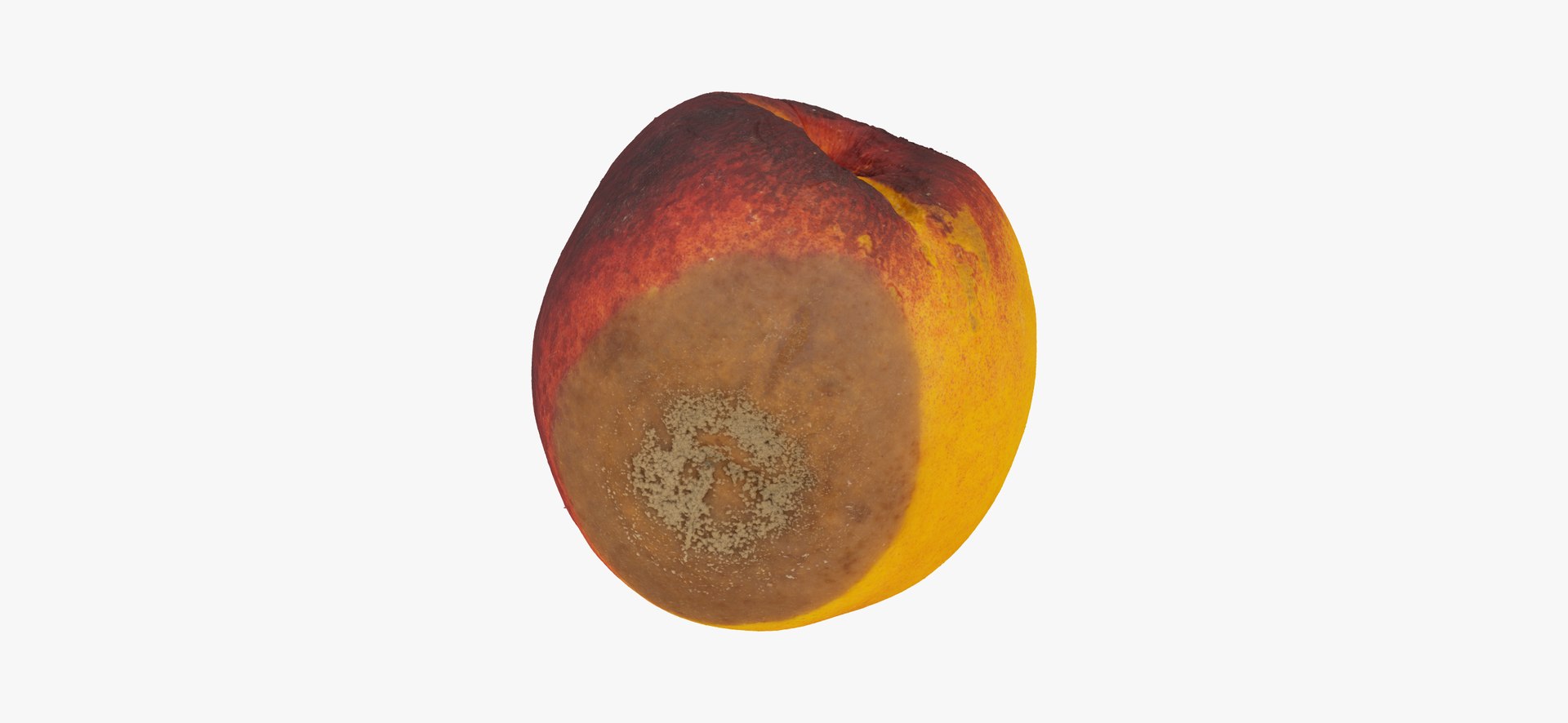 Nectarines Whole And Rotten Collection 01 - 2 Models RAW Scans 3D Model ...