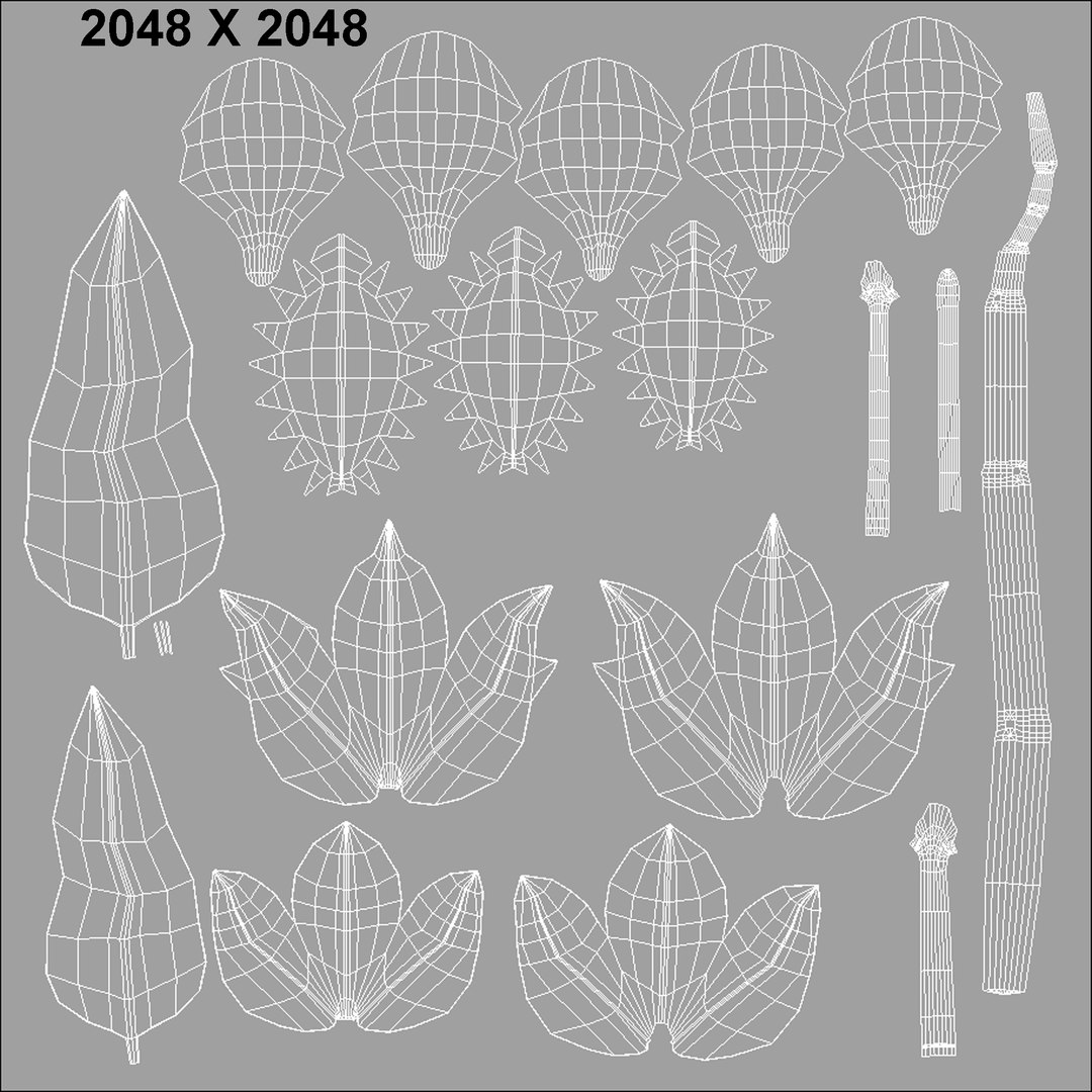 Gossypium Cotton 3d Model