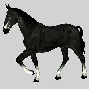 3d horse tack pzhor