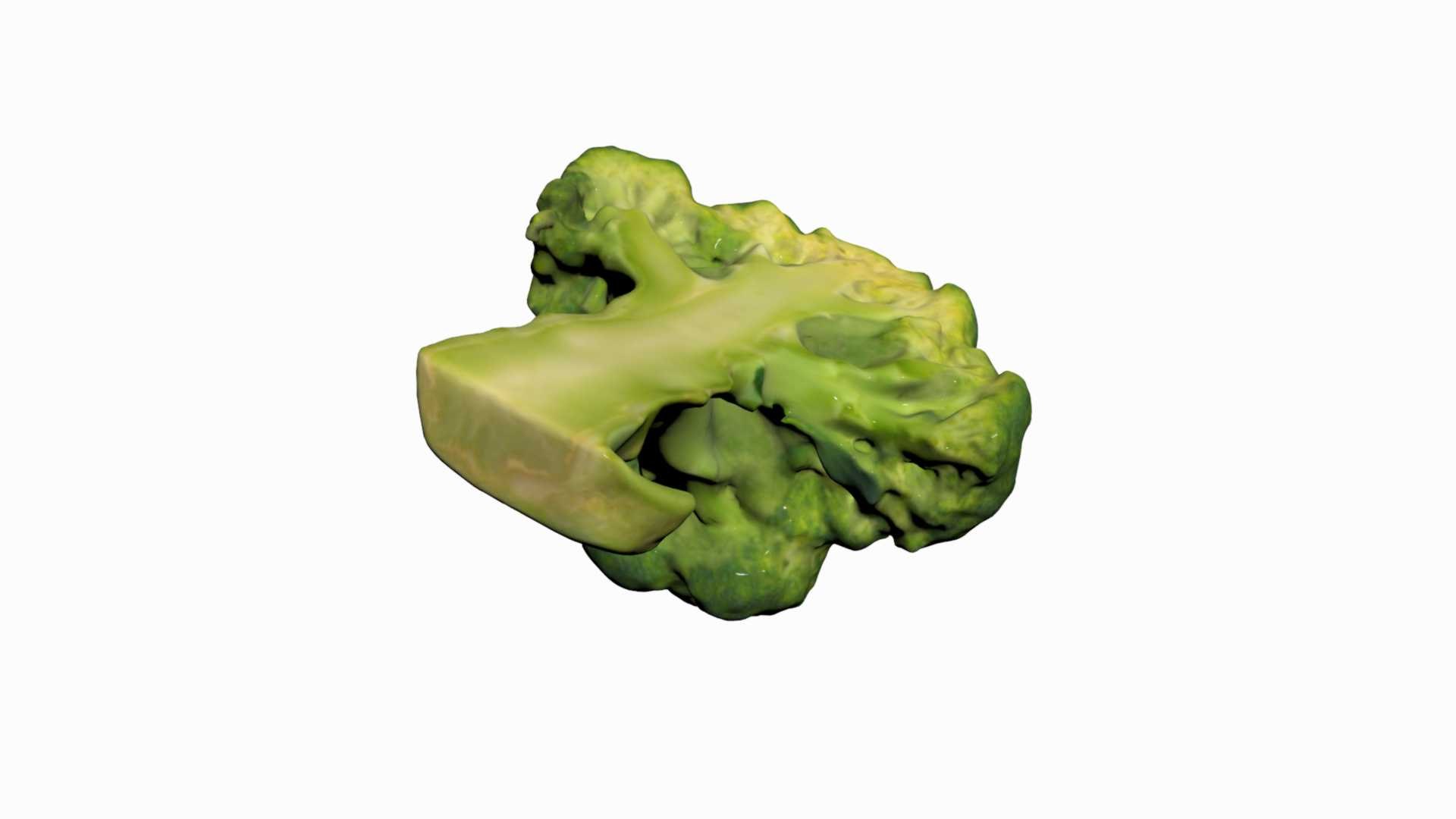 Half Broccoli 3D model - TurboSquid 1741747