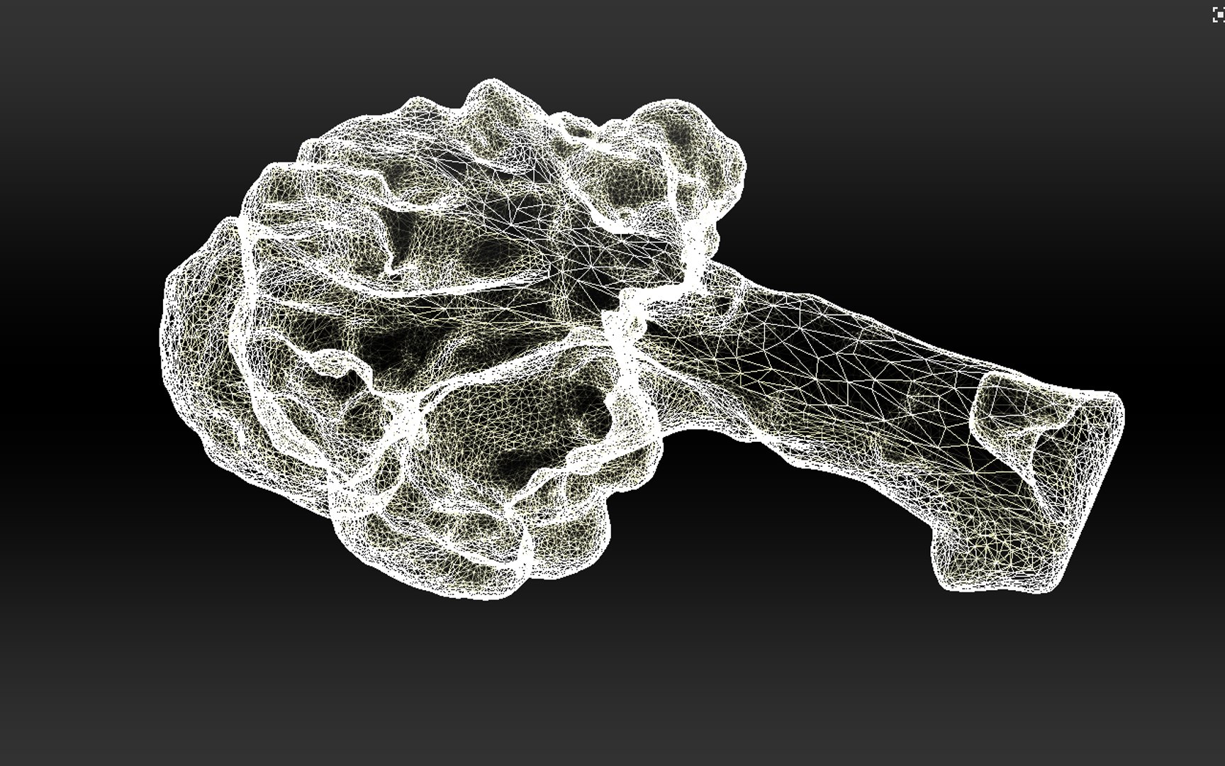 Half Broccoli 3D model - TurboSquid 1741747