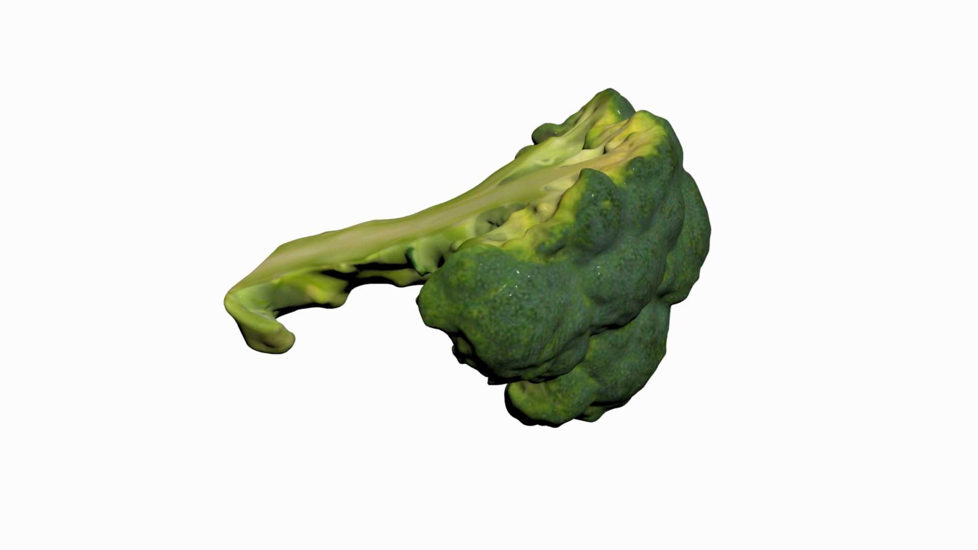 Half Broccoli 3D model - TurboSquid 1741747