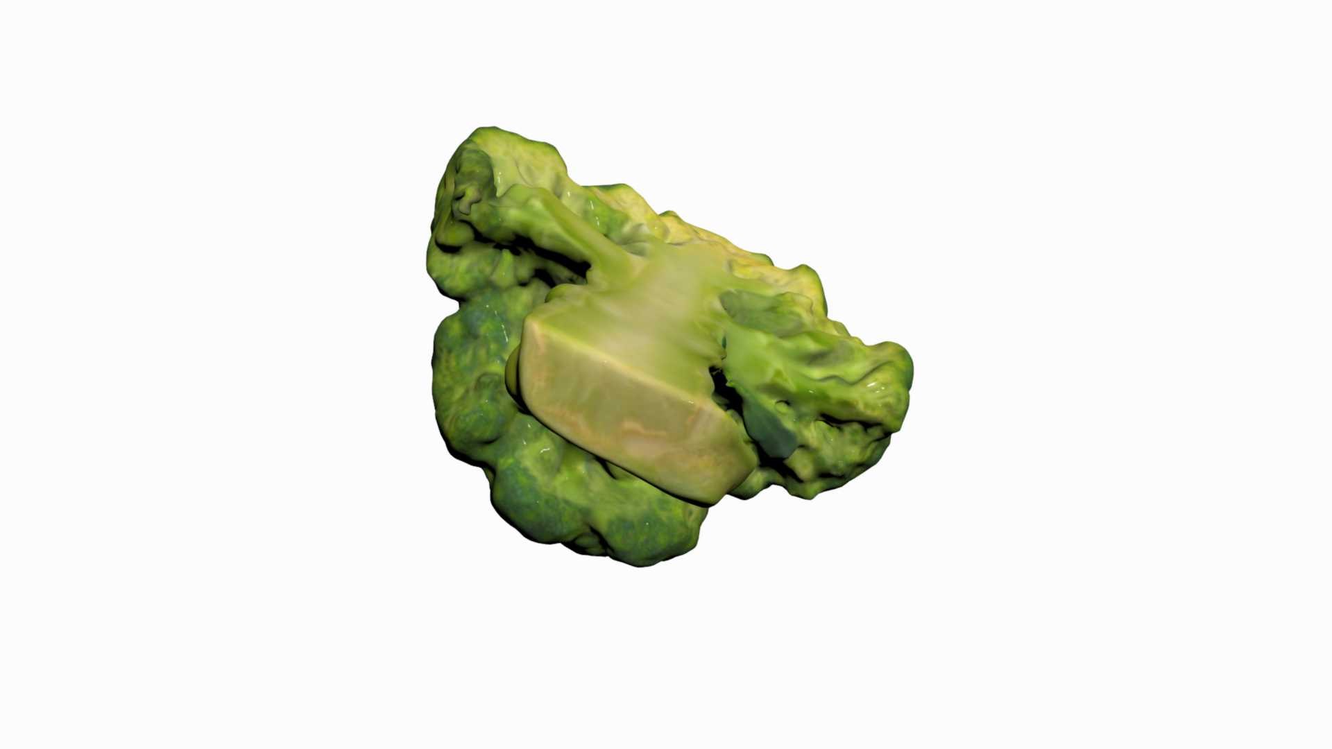 Half Broccoli 3D model - TurboSquid 1741747