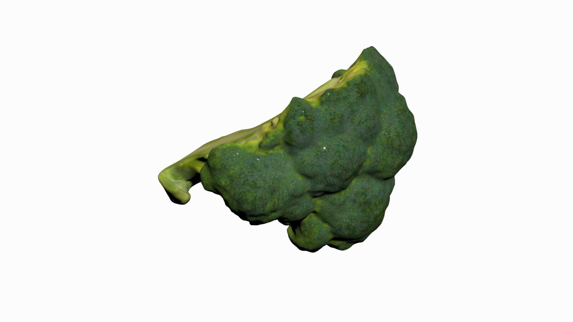 Half Broccoli 3D model - TurboSquid 1741747