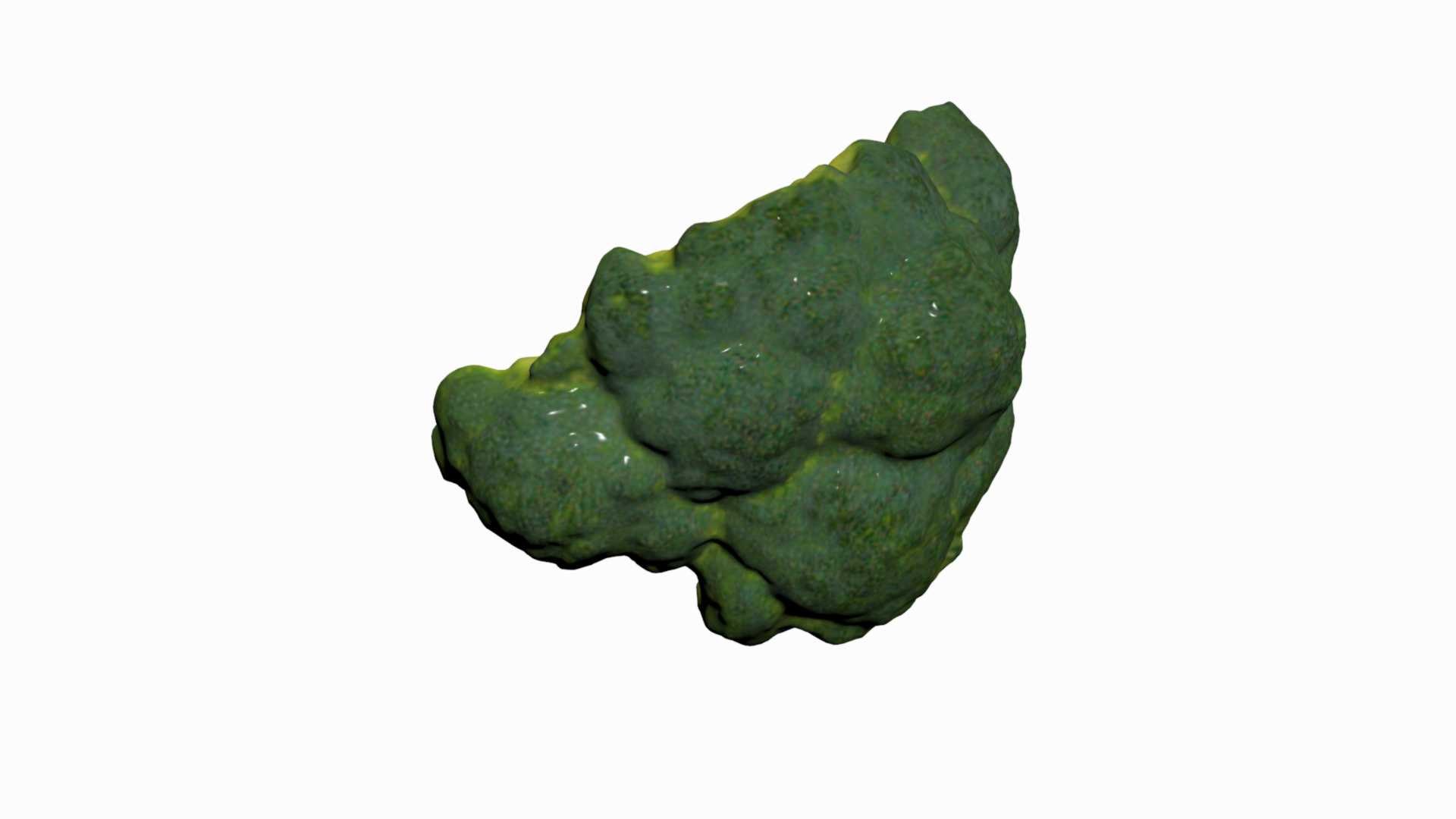 Half Broccoli 3D model - TurboSquid 1741747