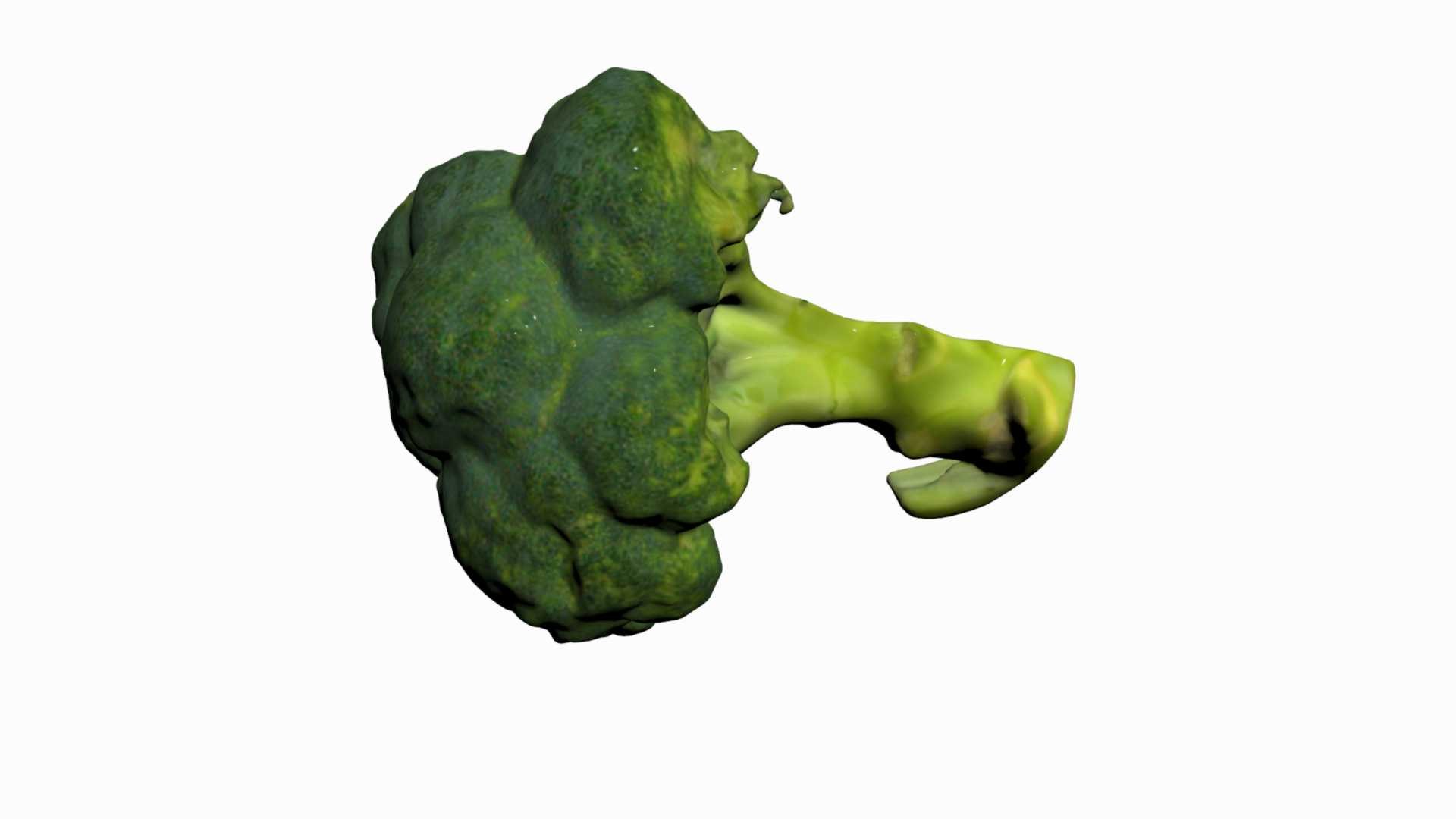 Half Broccoli 3D model - TurboSquid 1741747