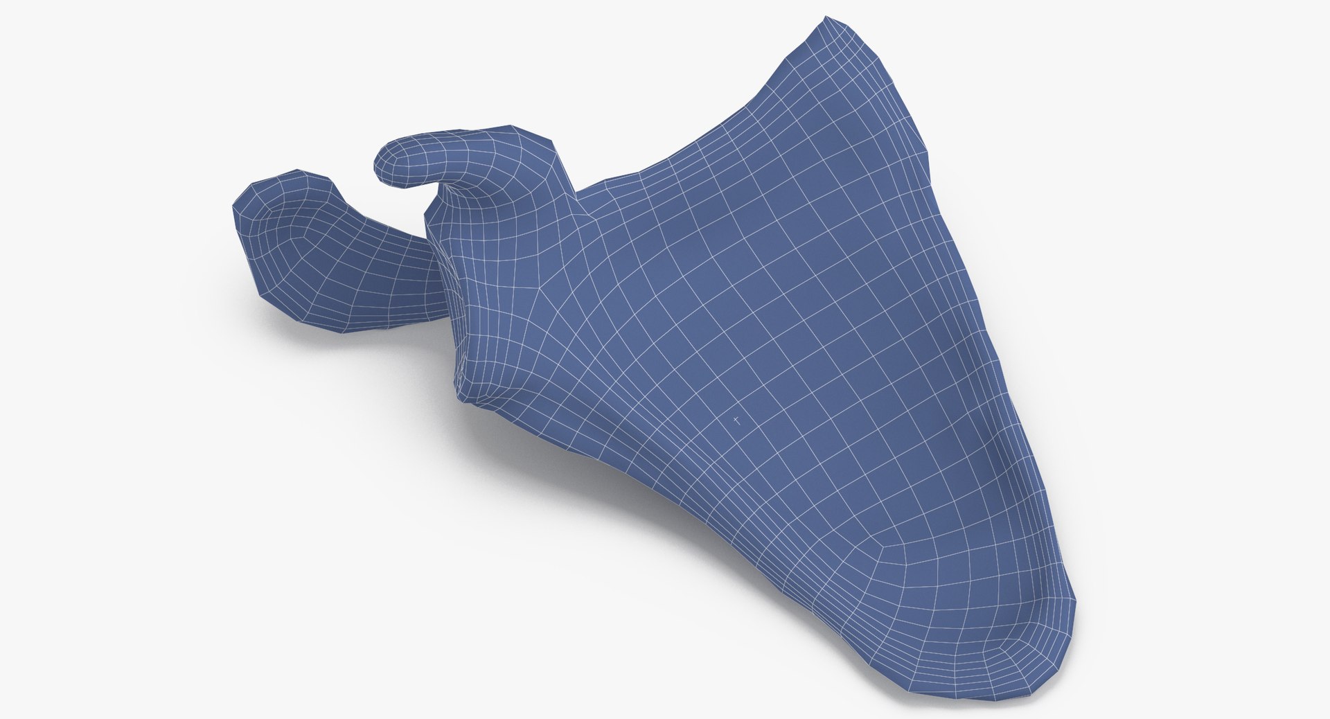 3D Human Scapula Bone 01 Model - TurboSquid 1422260