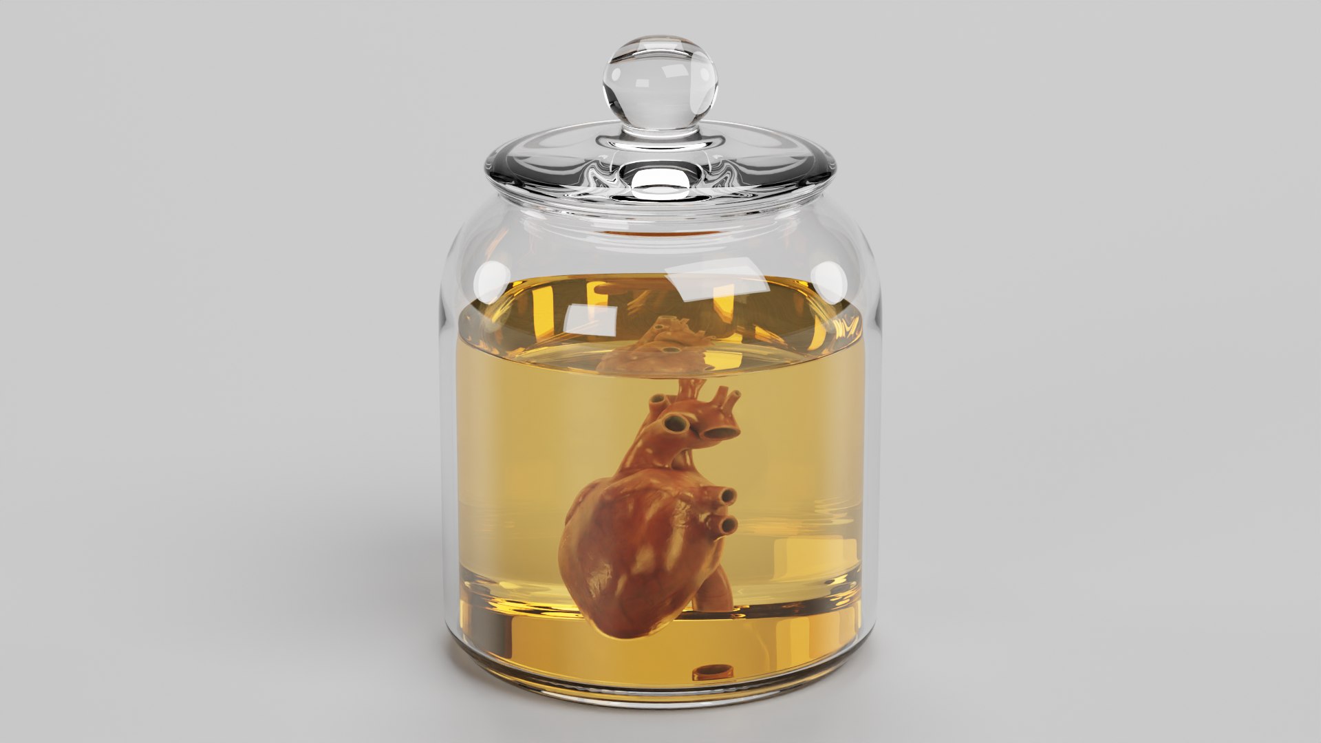 3D Organs in Jars - TurboSquid 2167036