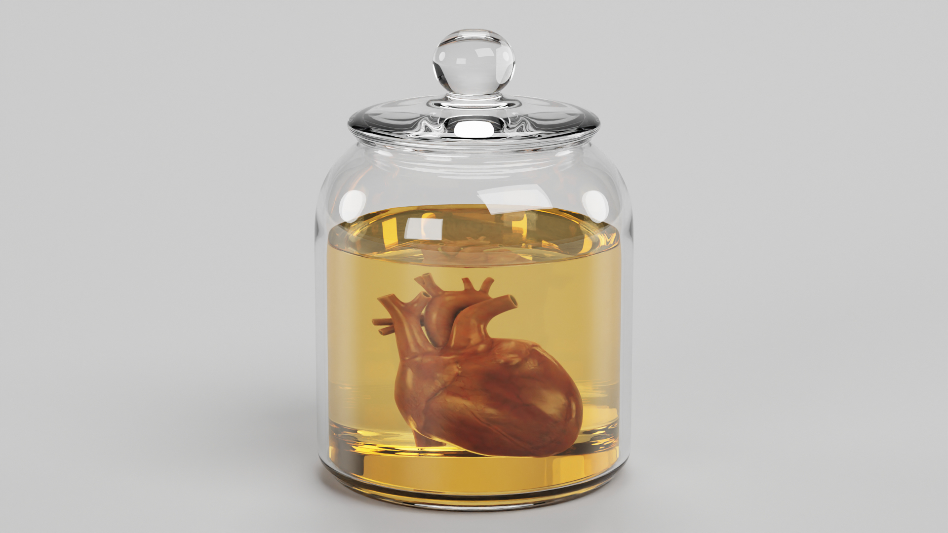 3D Organs in Jars - TurboSquid 2167036