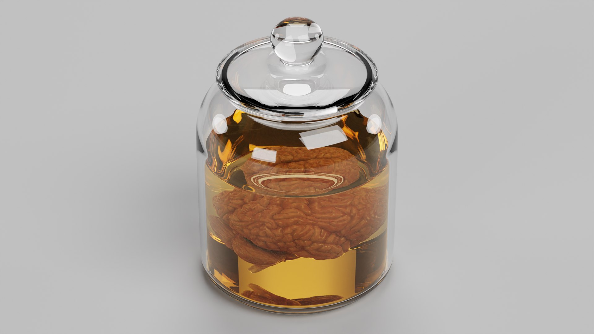 3D Organs in Jars - TurboSquid 2167036