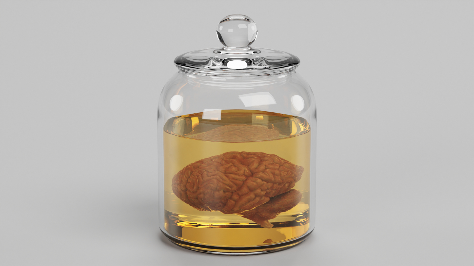 3D Organs in Jars - TurboSquid 2167036