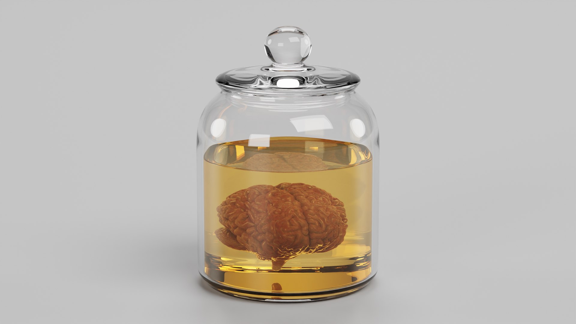 3D Organs in Jars - TurboSquid 2167036