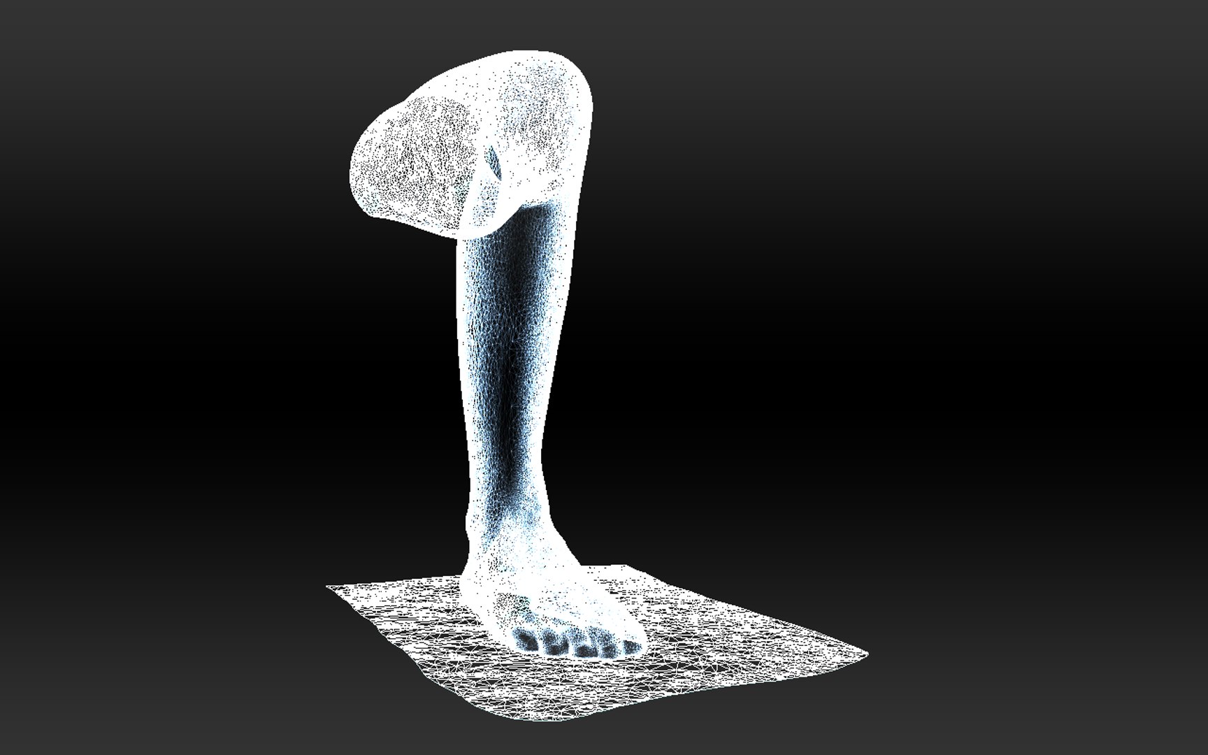 3D Model Human Leg 3D Scan High Quality - TurboSquid 1784409