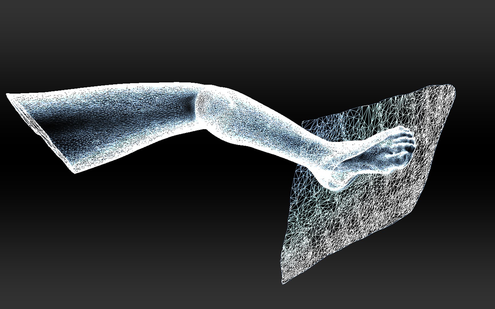 3D Model Human Leg 3D Scan High Quality - TurboSquid 1784409