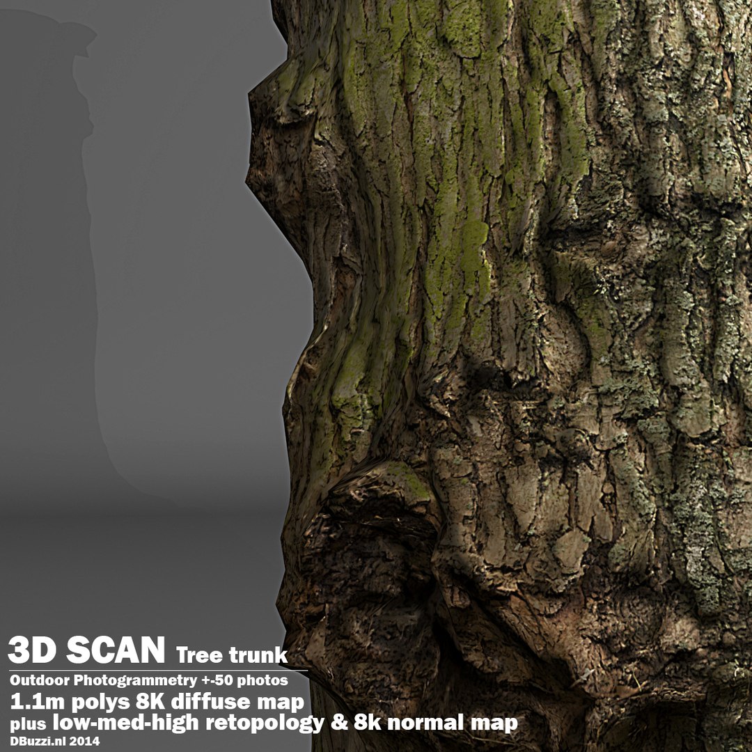 Scan Tree Trunk 3d Model