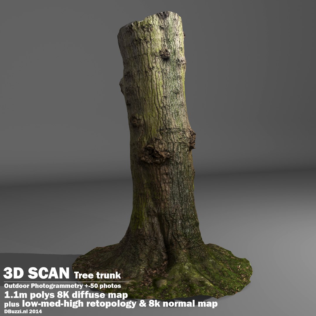 Scan Tree Trunk 3d Model