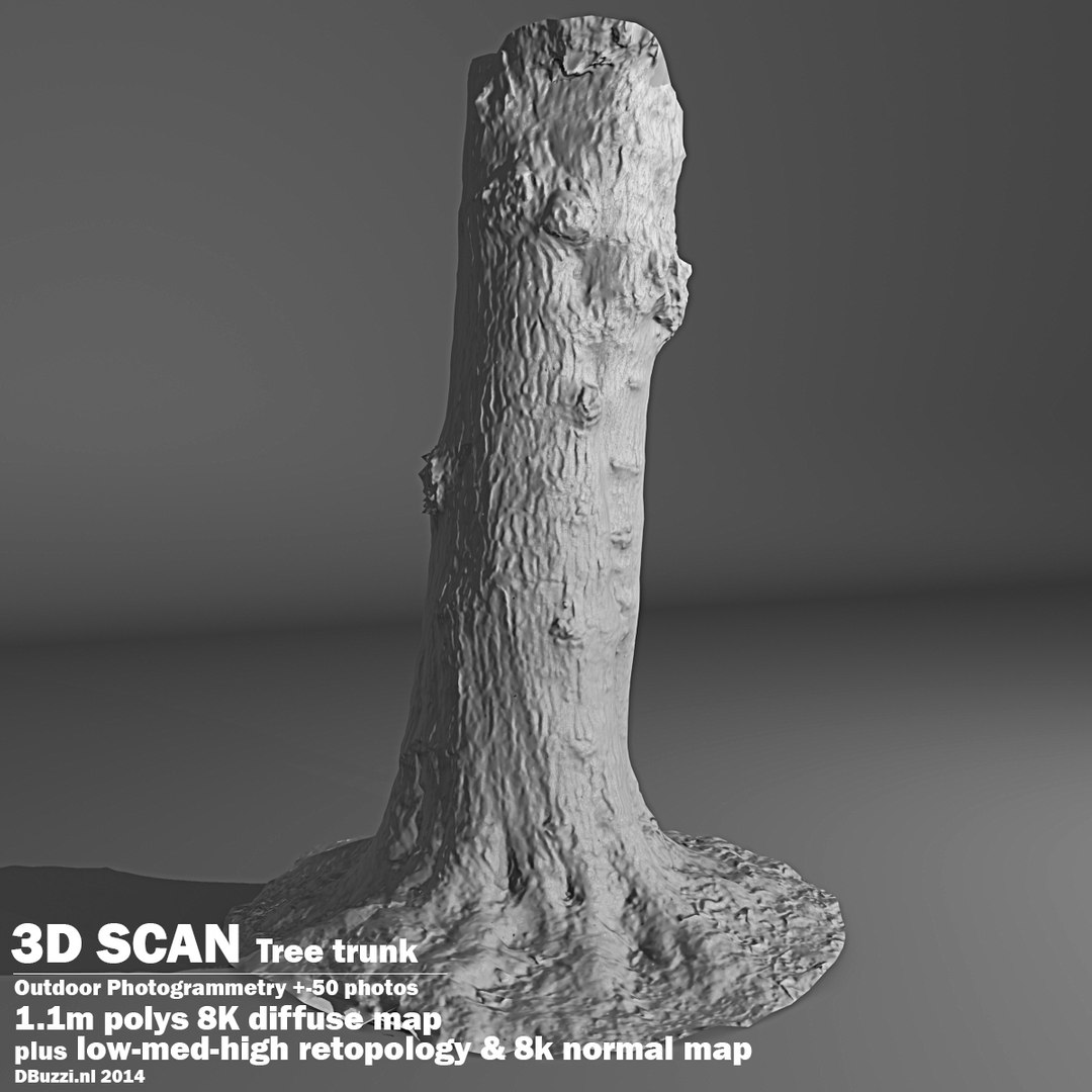 Scan Tree Trunk 3d Model