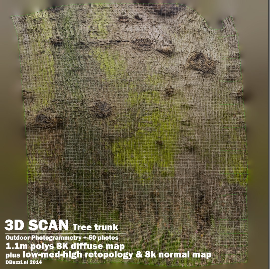 Scan Tree Trunk 3d Model