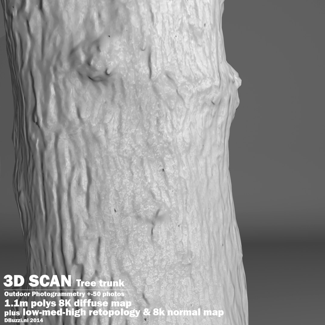 Scan Tree Trunk 3d Model