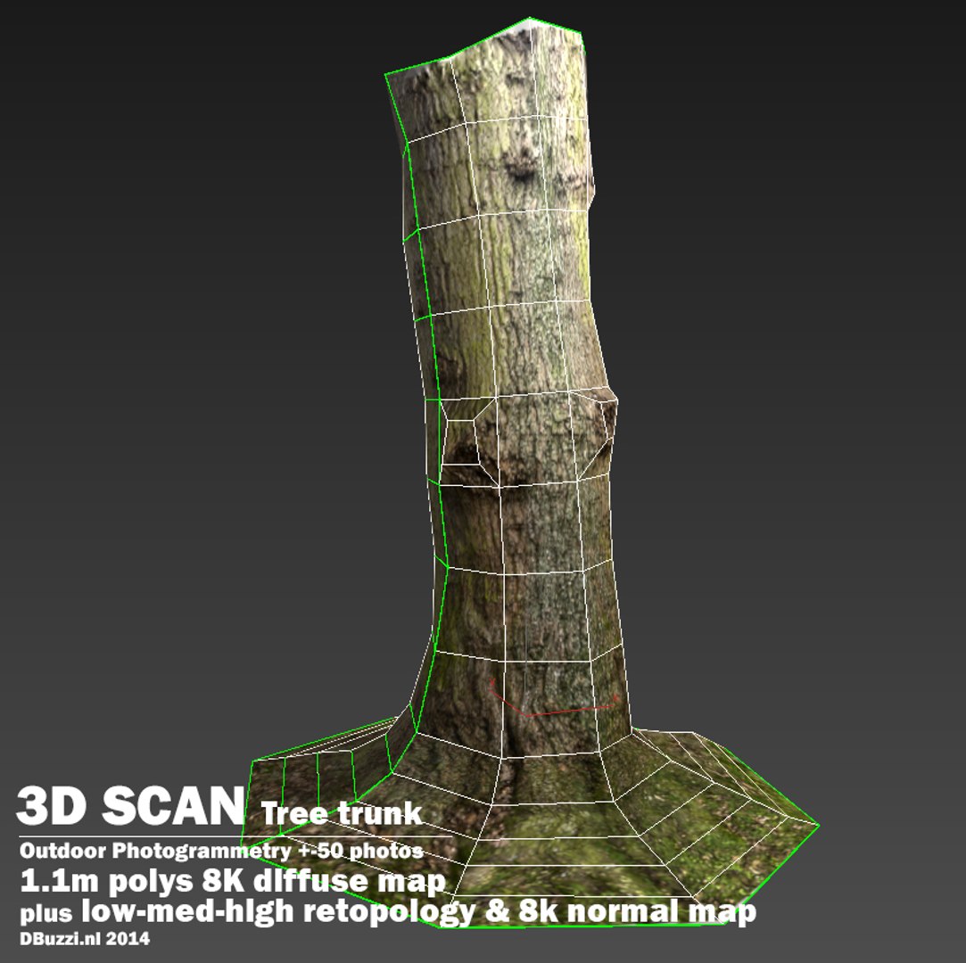 Scan Tree Trunk 3d Model