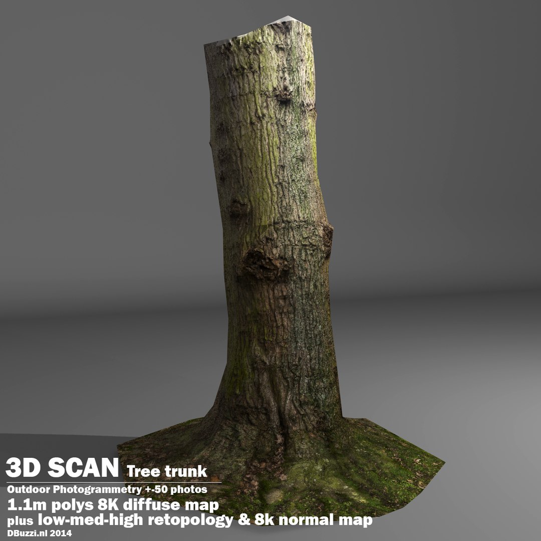 Scan Tree Trunk 3d Model