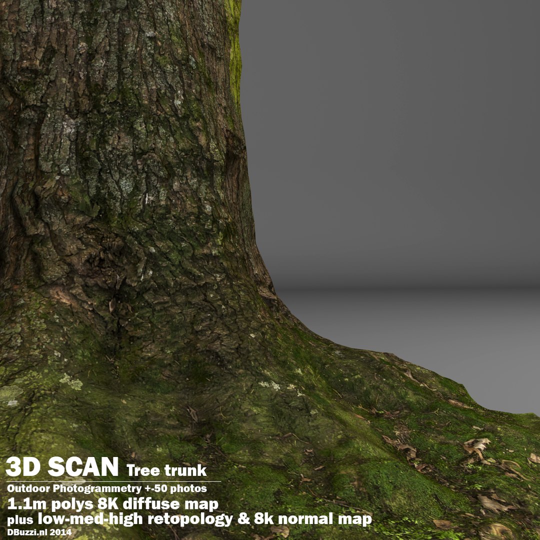 Scan Tree Trunk 3d Model
