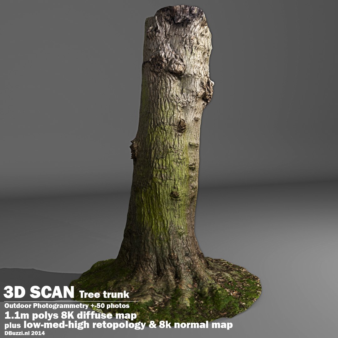 Scan Tree Trunk 3d Model
