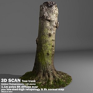 Red Oak Tree trunk 3D - TurboSquid 1765211