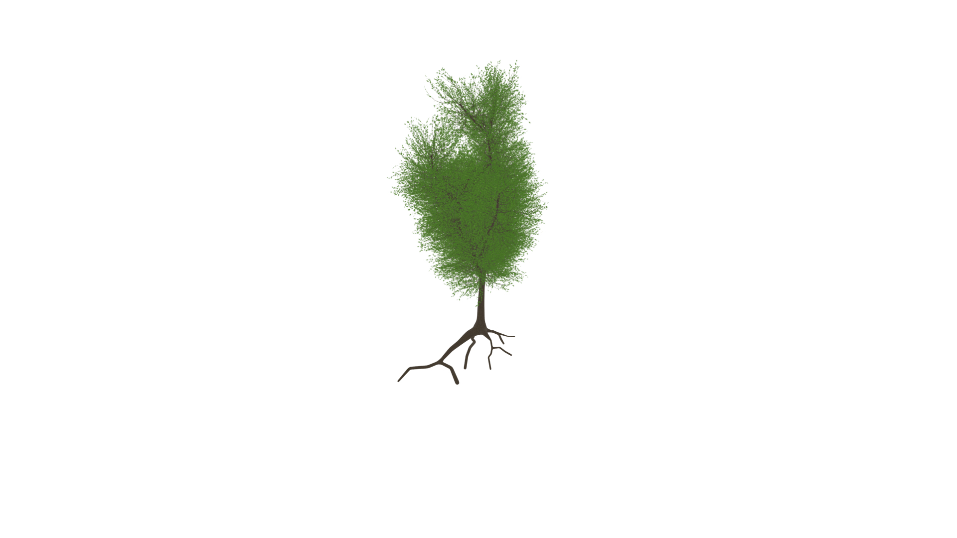 3D Realistic Tree Asset Pack Model - TurboSquid 1806160