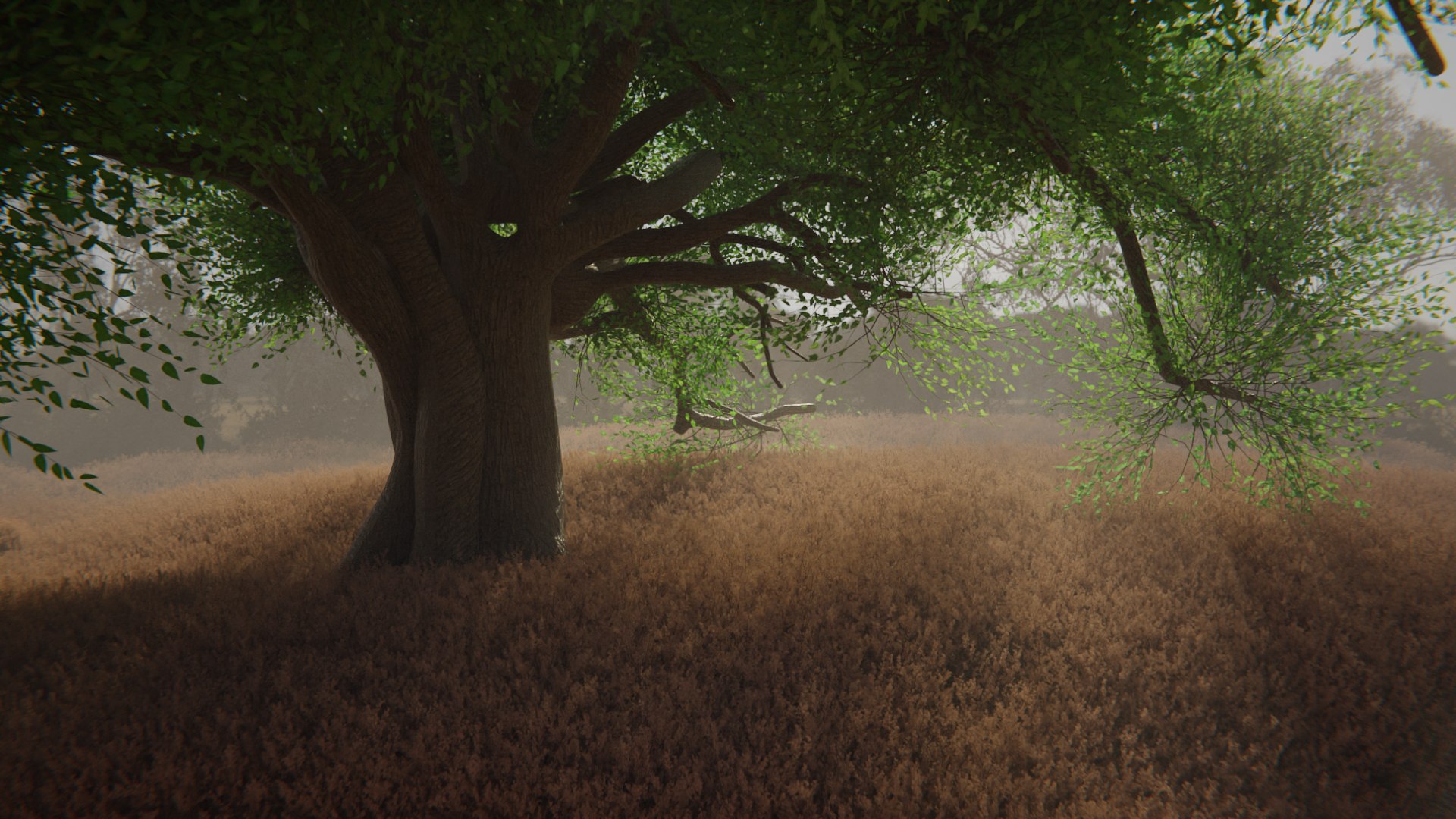 3D Realistic Tree Asset Pack Model - TurboSquid 1806160
