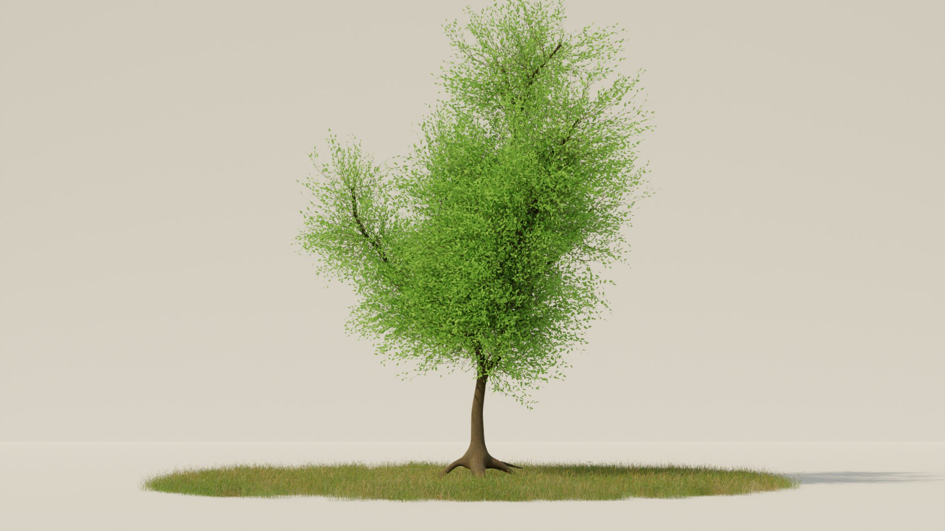 3D Realistic Tree Asset Pack Model - TurboSquid 1806160