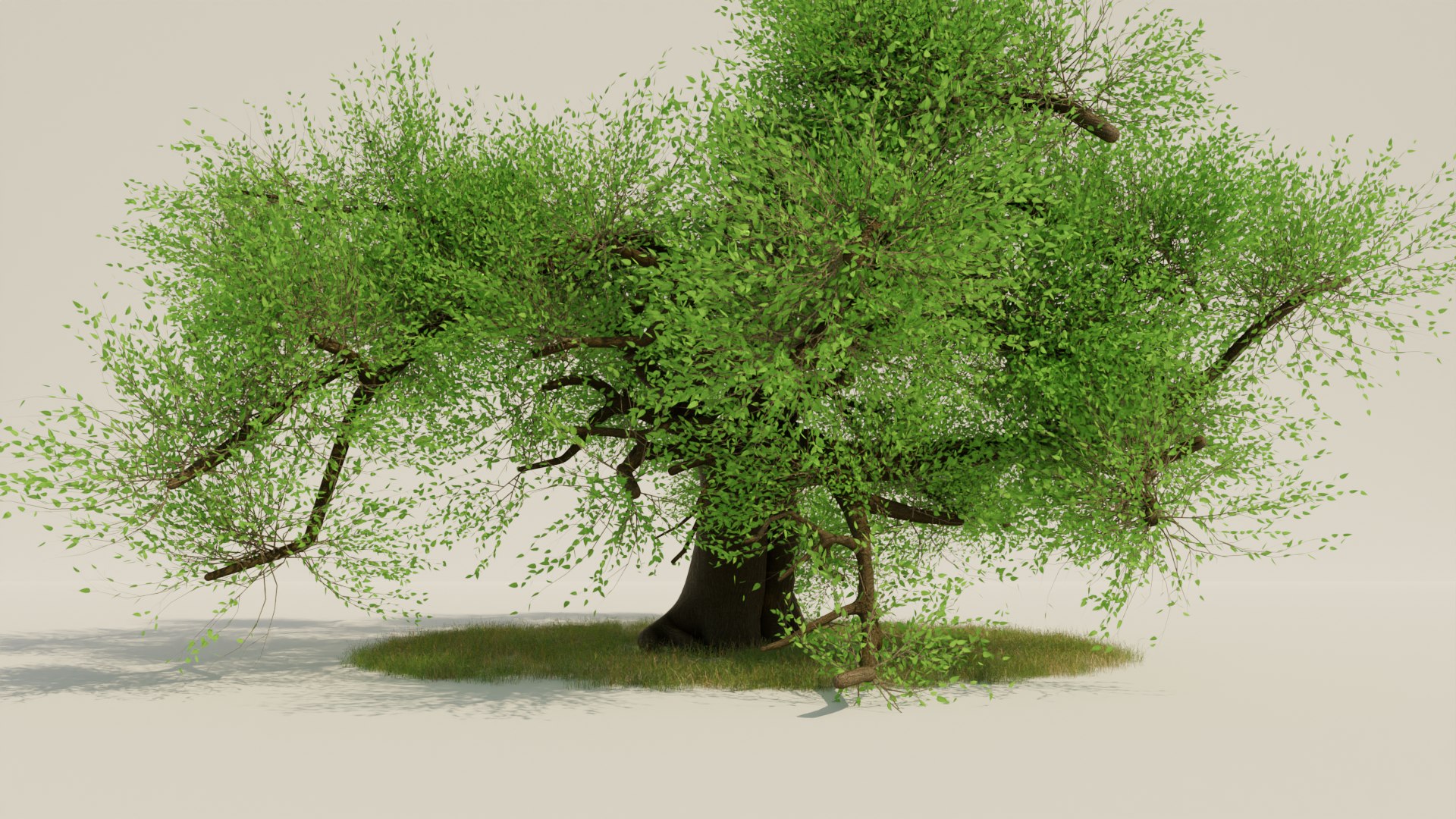 3D Realistic Tree Asset Pack Model - TurboSquid 1806160