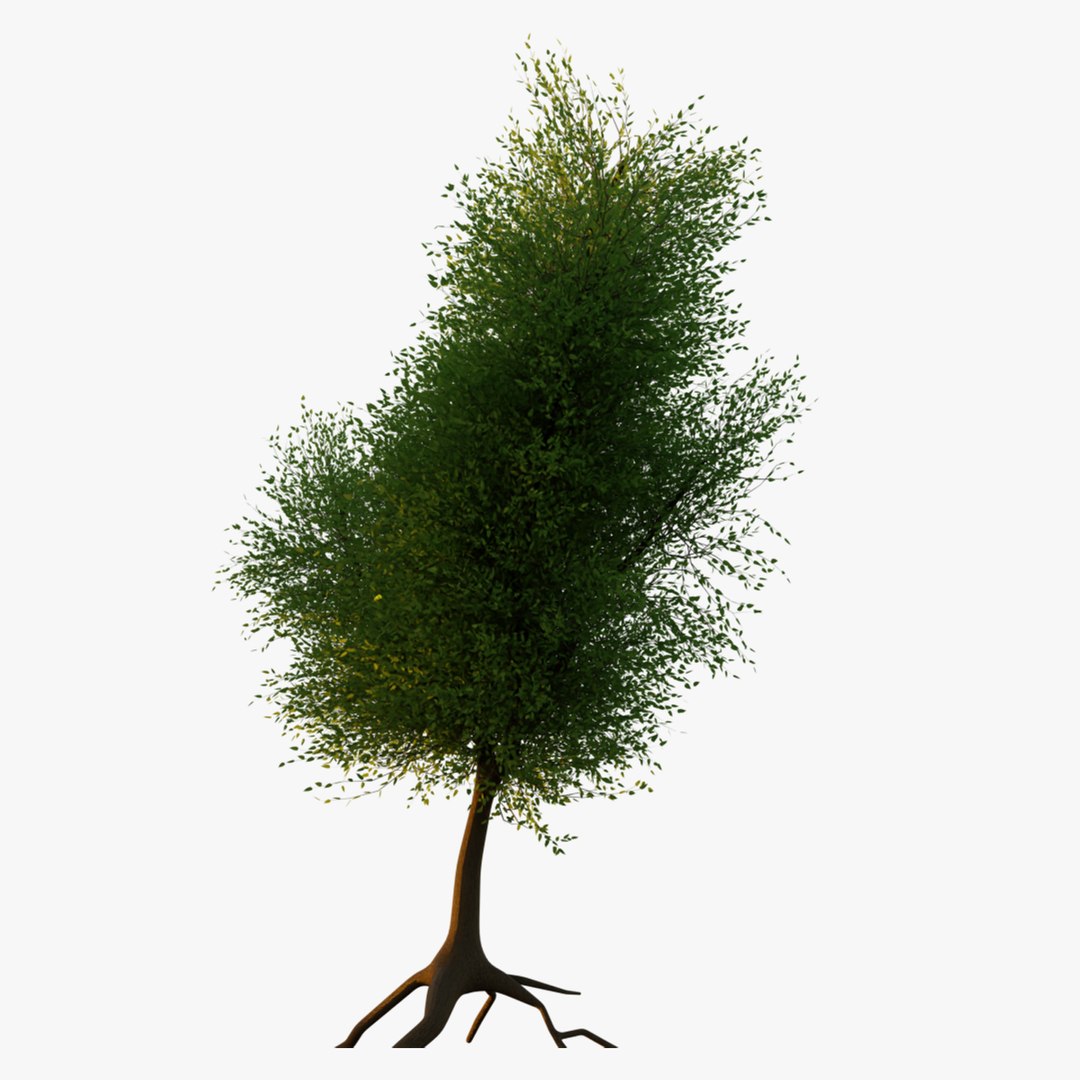 3D Realistic Tree Asset Pack Model - TurboSquid 1806160