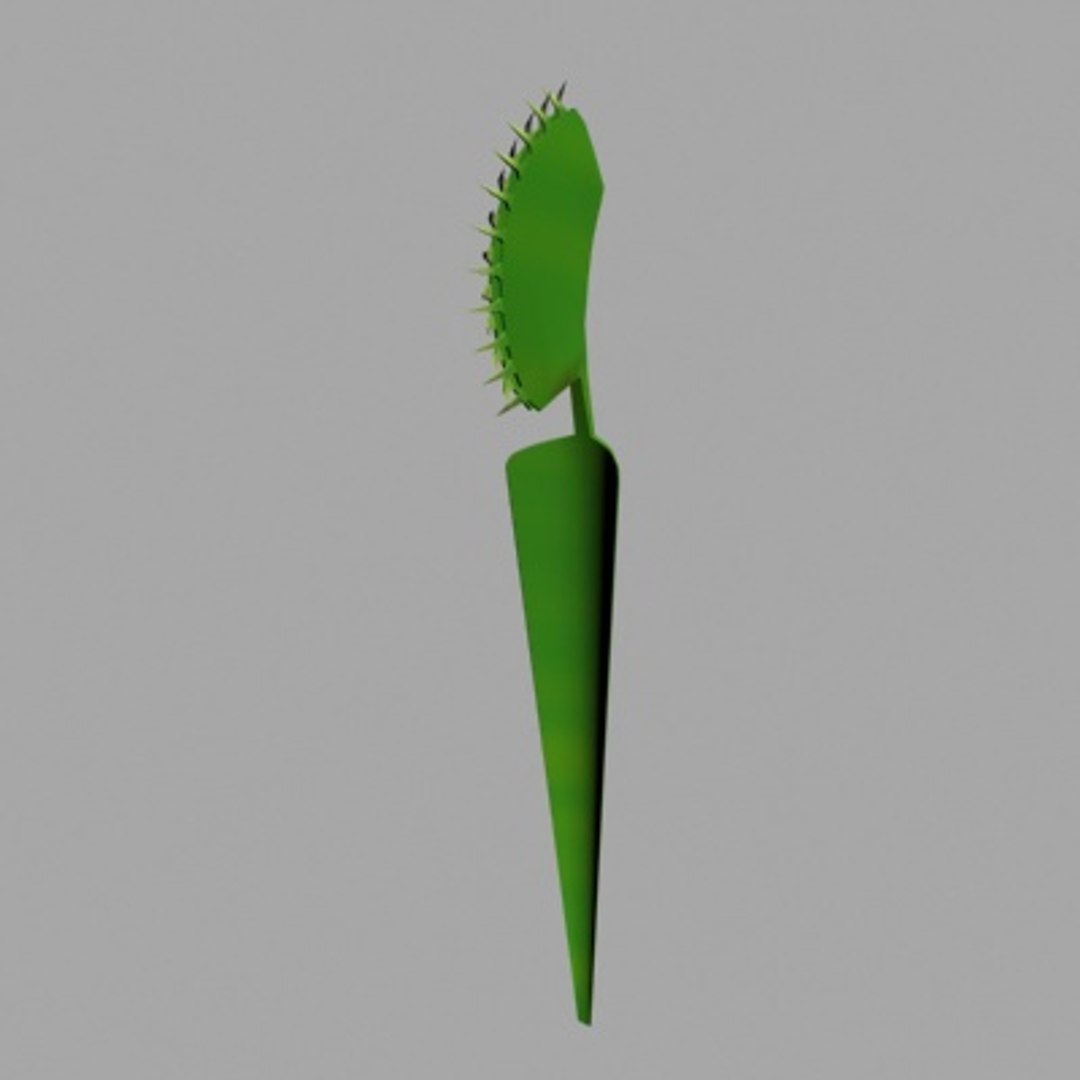 Venus Fly Trap 3d Model
