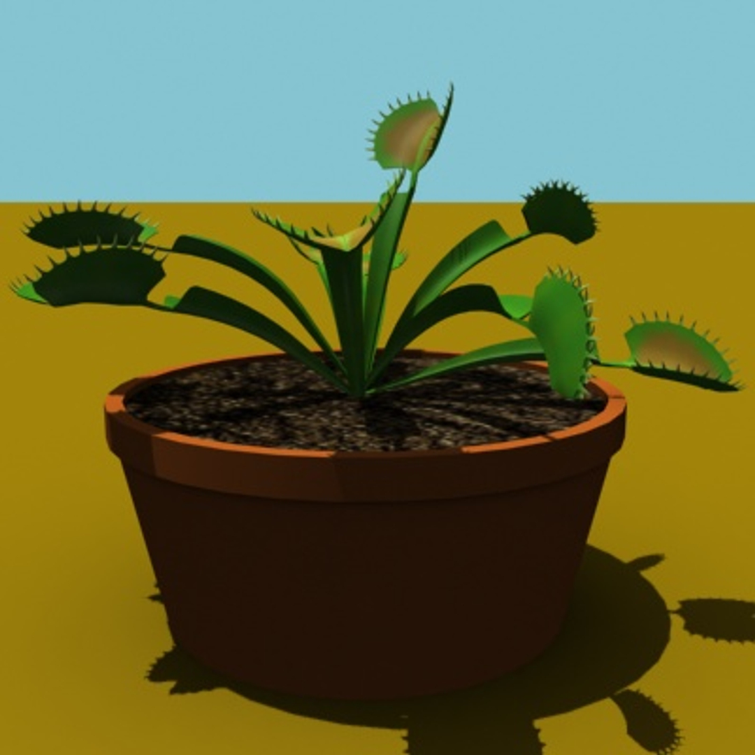 venus fly trap 3d model