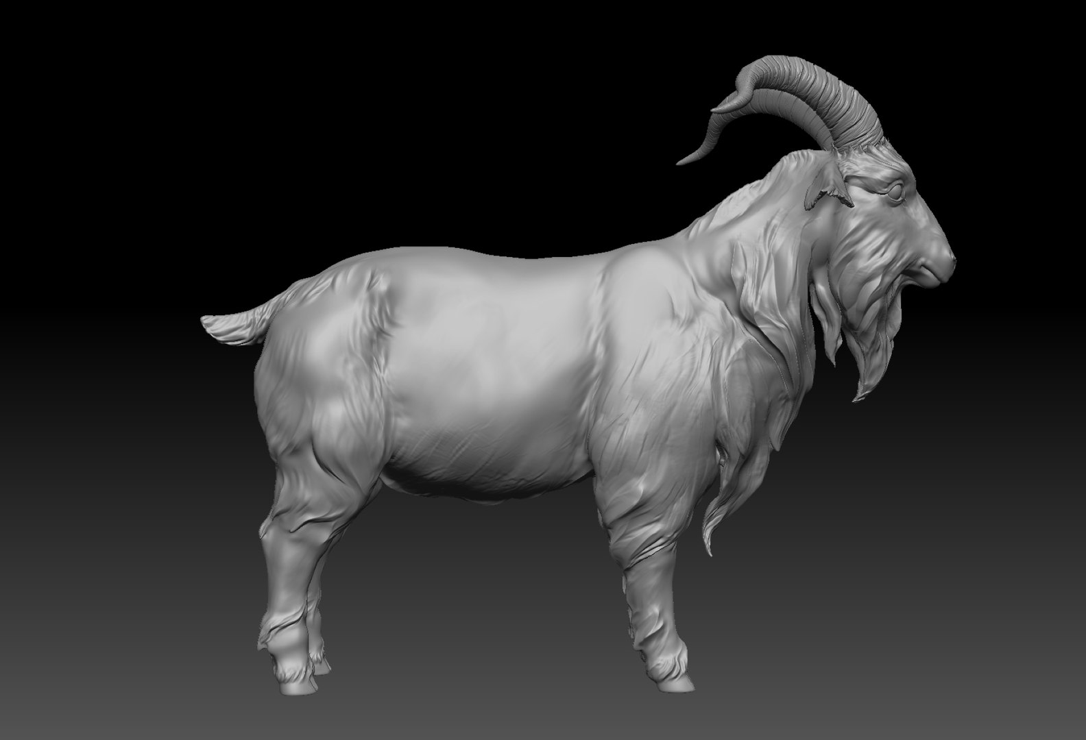 Goat Semi-stylized Sculpt Model - TurboSquid 1944107