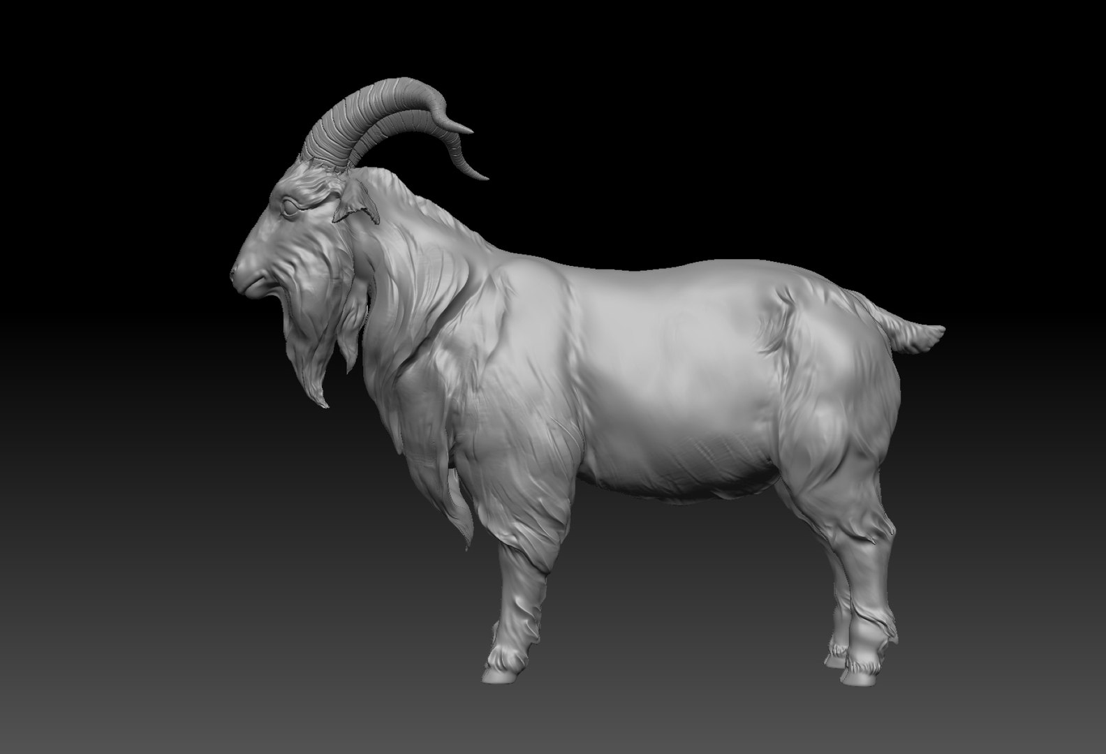 Goat Semi-stylized Sculpt Model - TurboSquid 1944107